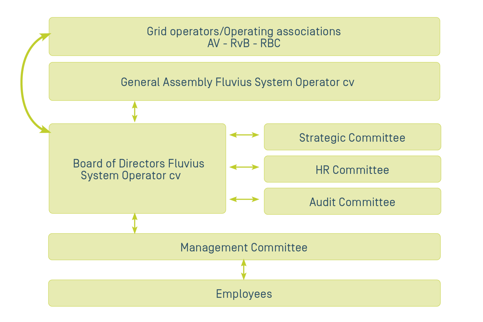 Fluvius overview of governing bodies | Fluvius